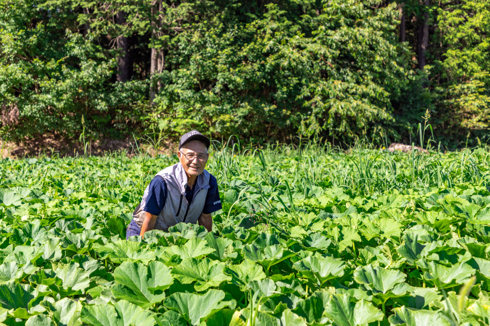 HIDABITO｜特集｜【公式】飛騨高山旅ガイド｜岐阜県高山市の観光・イベント情報！